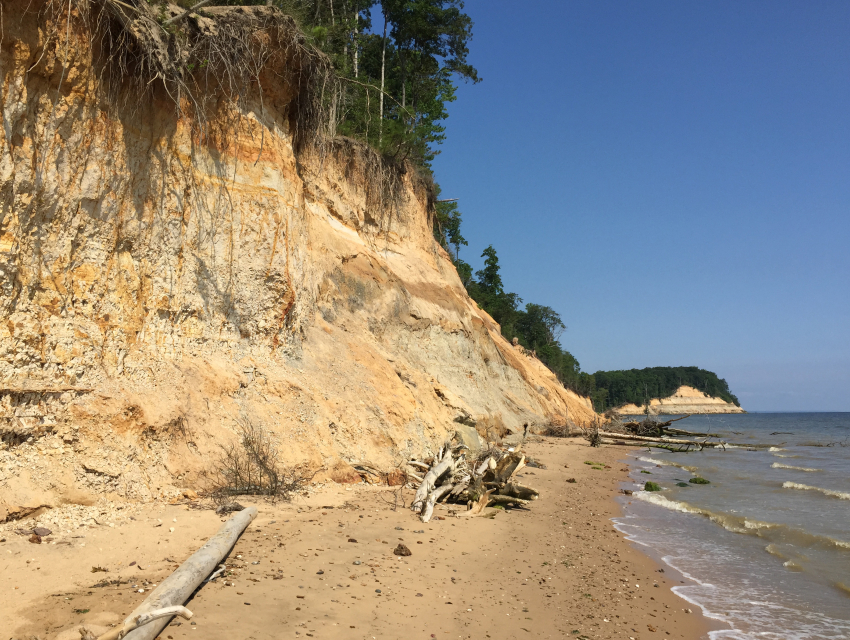 Calvert Cliffs State Park, Lusby | cityseeker