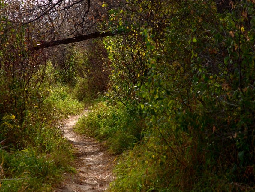 Meewasin Trail, Saskatoon | cityseeker