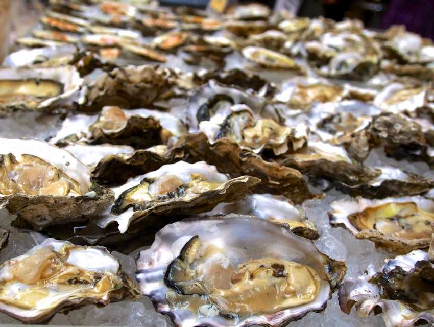 Darwin Fish Market, Darwin | cityseeker