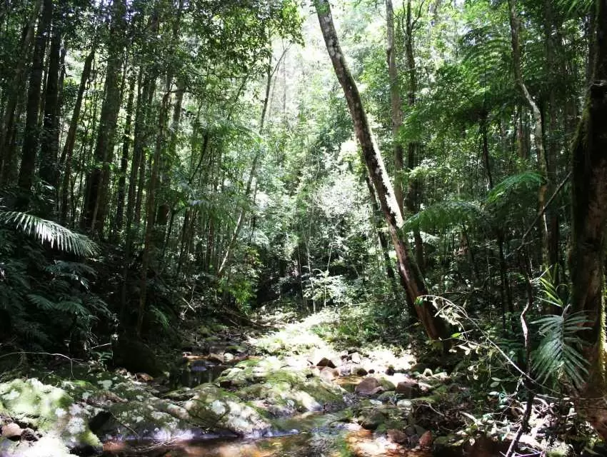 Paluma Range National Park, Townsville | cityseeker