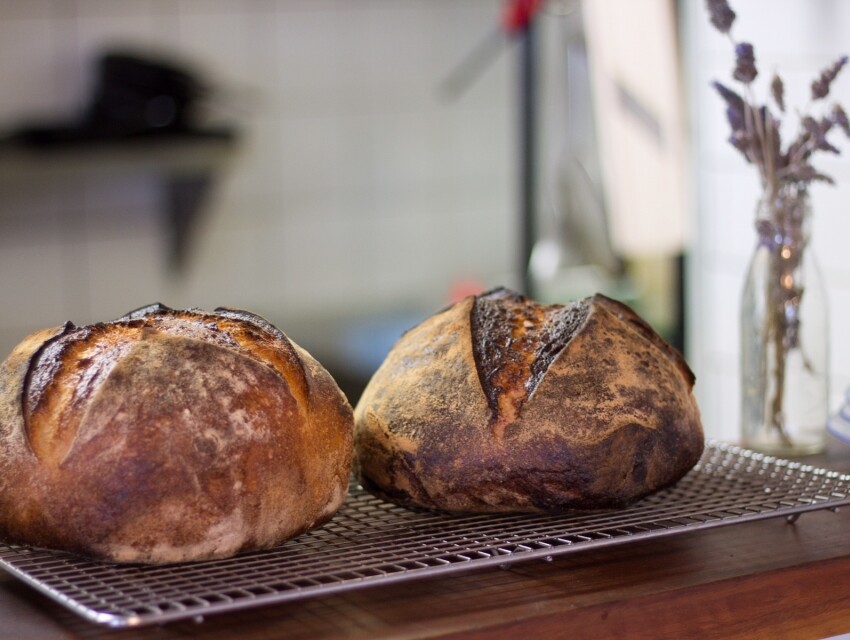 Blue Swimmer at Seahaven, Gerroa | cityseeker