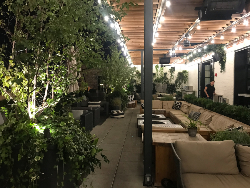 Aba, Chicago | cityseeker