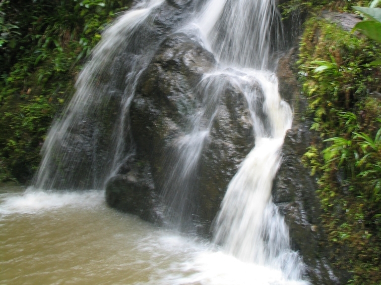 Colo-i-Suva Forest Park, Nasinu | cityseeker