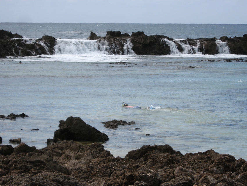Shark’s Cove, Pupukea | cityseeker