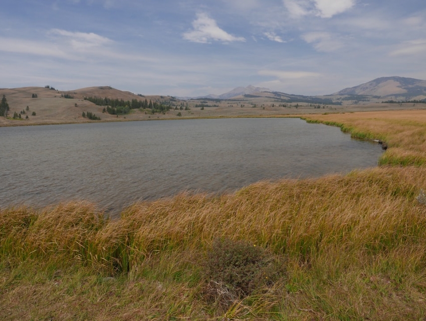 阿维斯大坝自然保护区, Windhoek | cityseeker