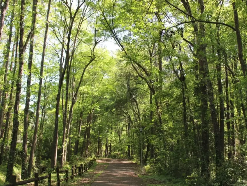 Springfield Conservation Nature Center, Springfield | cityseeker