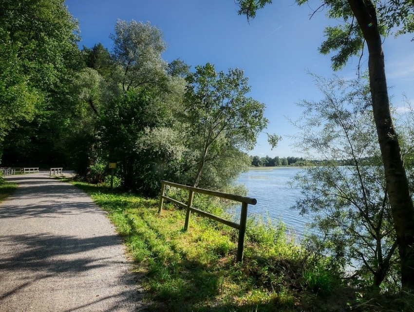 Shannon Banks Nature Trail, Athlone | cityseeker