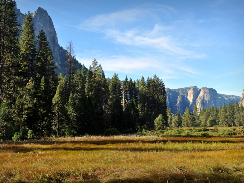 El Capitan Meadow, Yosemite National Park | cityseeker