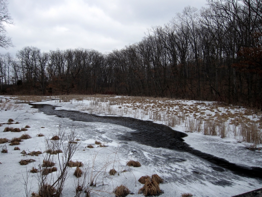 Pinckney Recreation Area, Pinckney | cityseeker