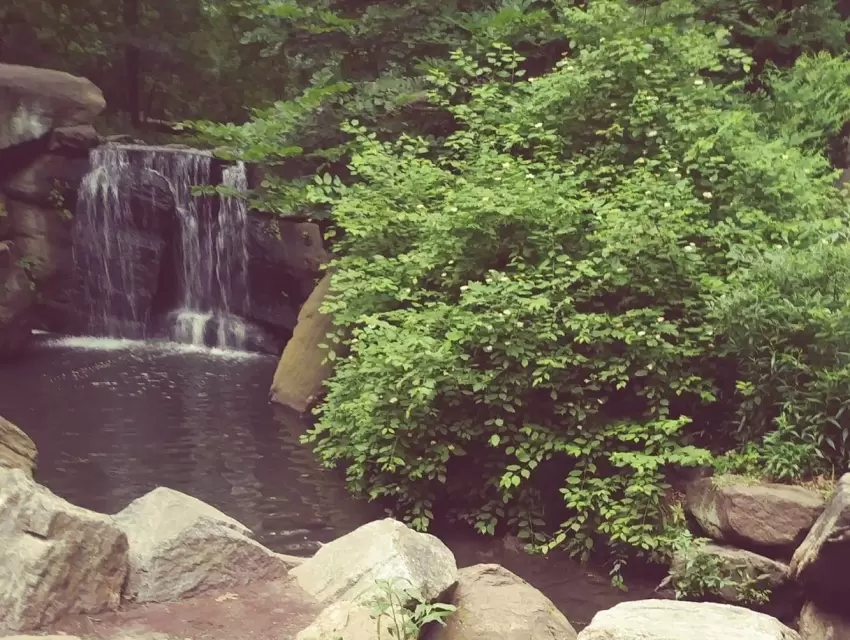 North Woods, New York | cityseeker