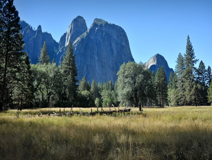 El Capitan Picnic Area, Yosemite National Park | cityseeker