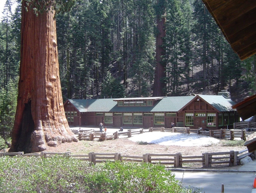 Giant Forest Museum, Sequoia National Park | cityseeker
