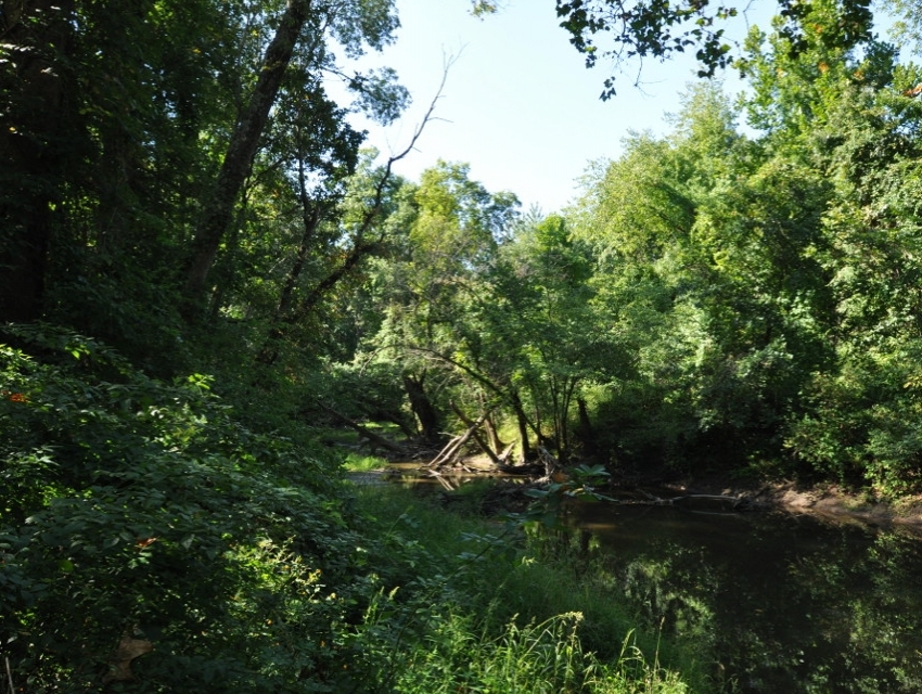 Scantic River State Park, Enfield | cityseeker