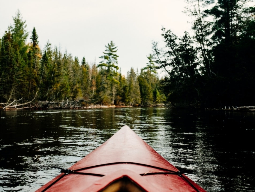 Lake Bistineau State Park, Doyline | cityseeker