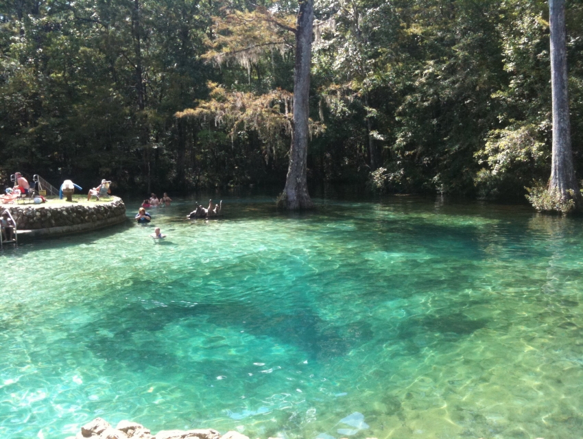 Ponce de Leon Springs State Park: Things to Know | Cityseeker