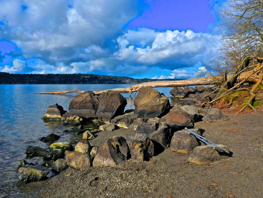 Kinney Point State Park, Marrowstone | cityseeker