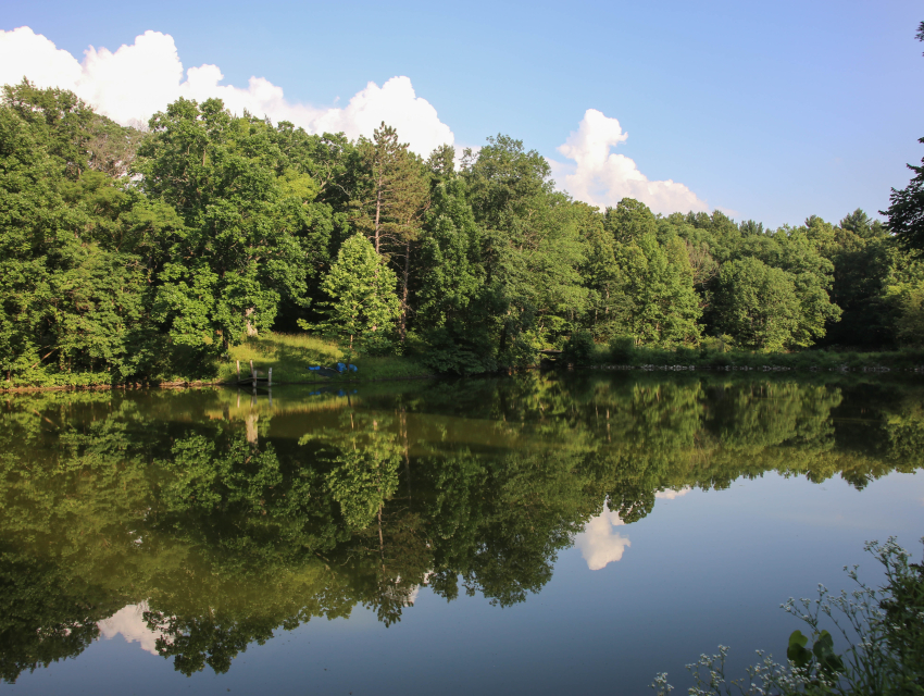 Sam Dale Lake State Fish and Wildlife Area, Johnsonville | cityseeker