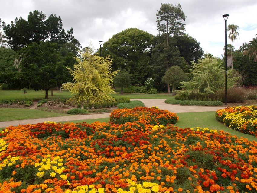 Pizza Run Brisbane, Aug 21st 9:00am, Brisbane, eventseeker