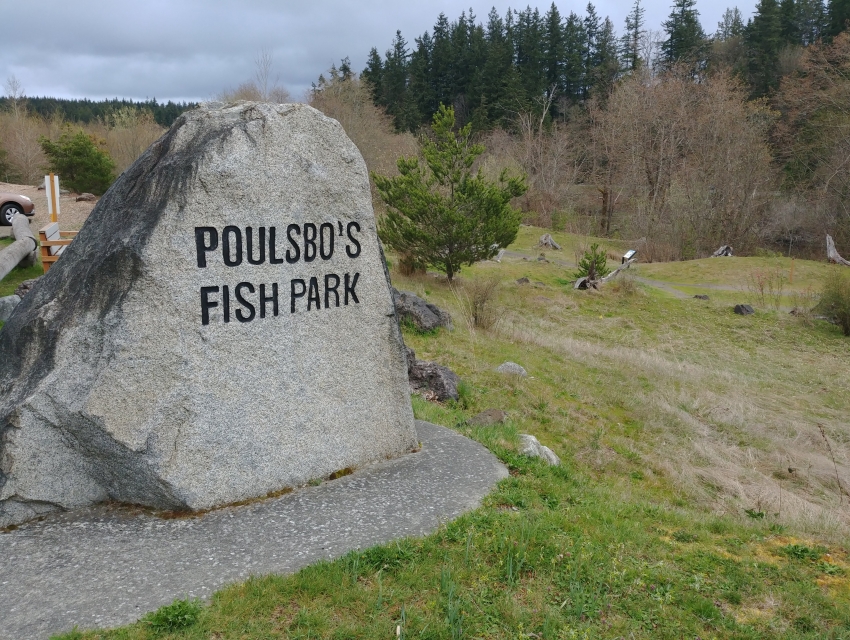 Poulsbo's Fish Park, Poulsbo | cityseeker