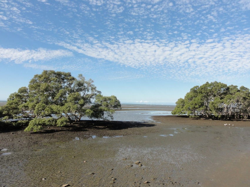 Nudgee Beach, Brisbane | cityseeker