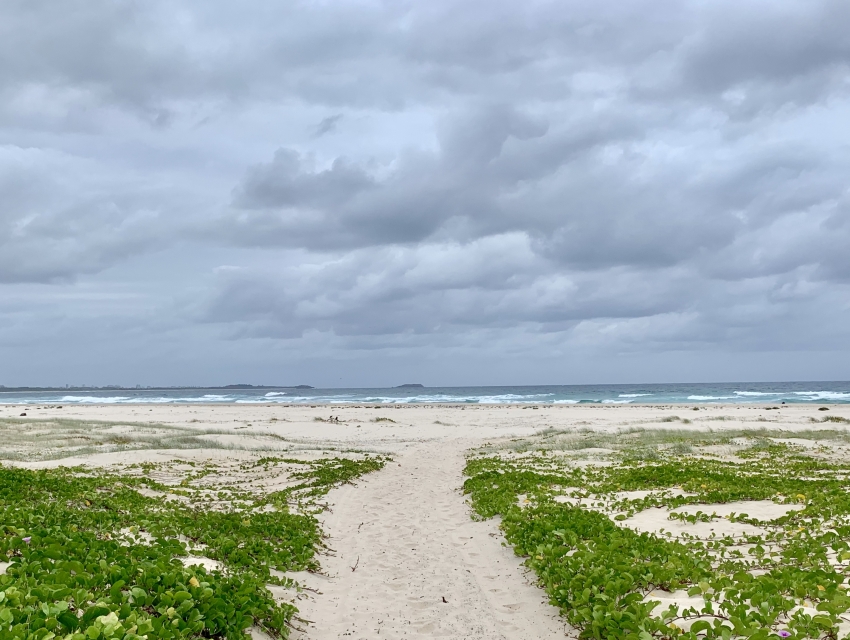 Fort Maurepas City Park and Nature Preserve, Ocean Springs | cityseeker