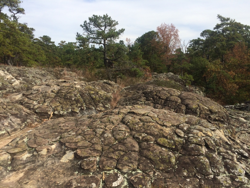Turtle Rocks, Morrilton | cityseeker