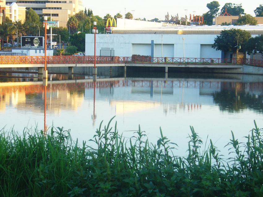 Bruma Market World, Johannesburg | cityseeker