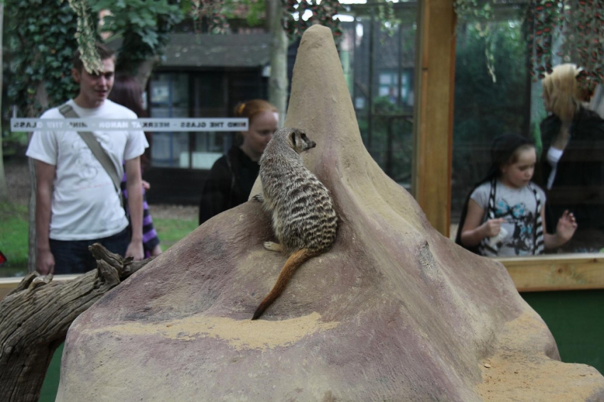 Shepreth Wildlife Park, Shepreth | cityseeker