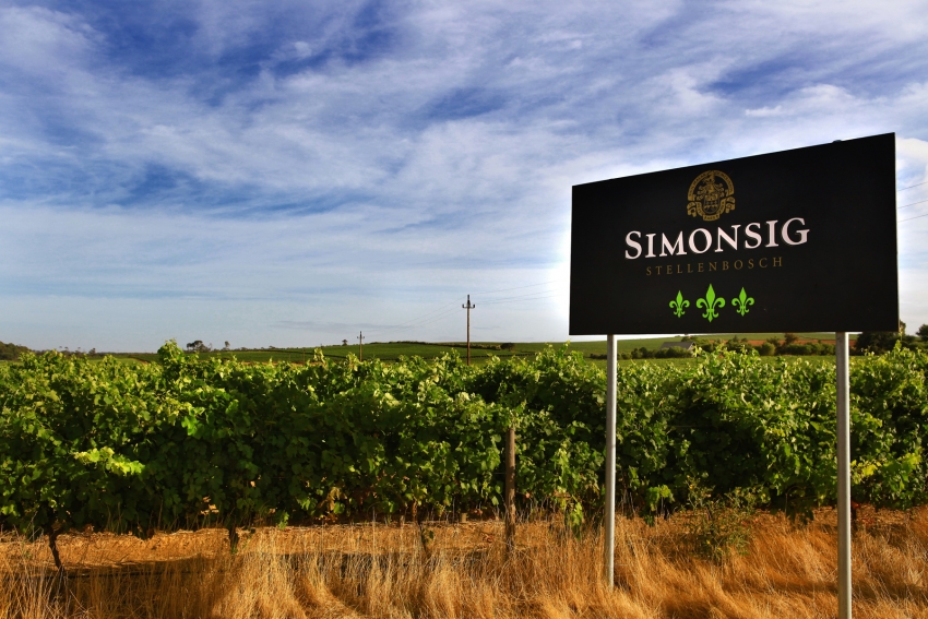 Simonsig, Stellenbosch | cityseeker