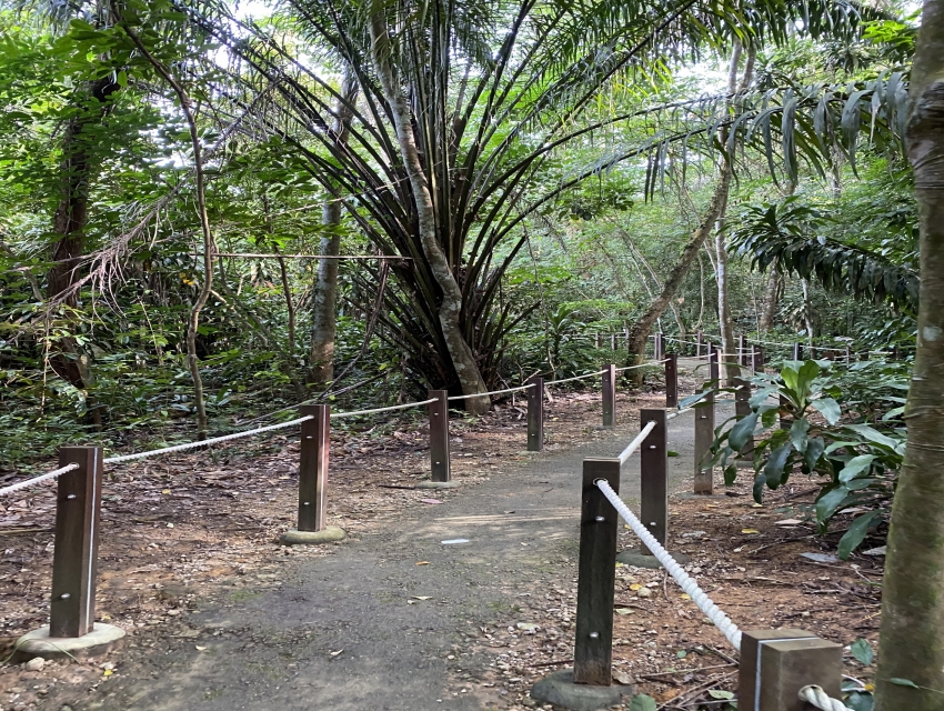 Thomson Nature Park, Singapore | cityseeker
