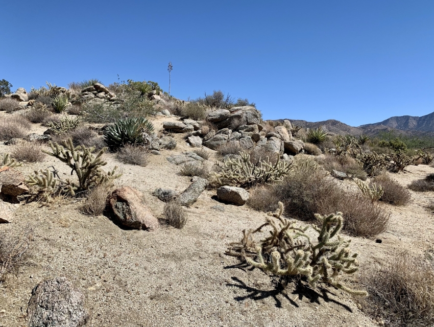 Cahuilla Tewanet Vista Point, Palm Springs | cityseeker