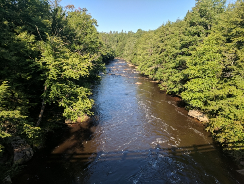 Blackwater River State Park, Milton | cityseeker