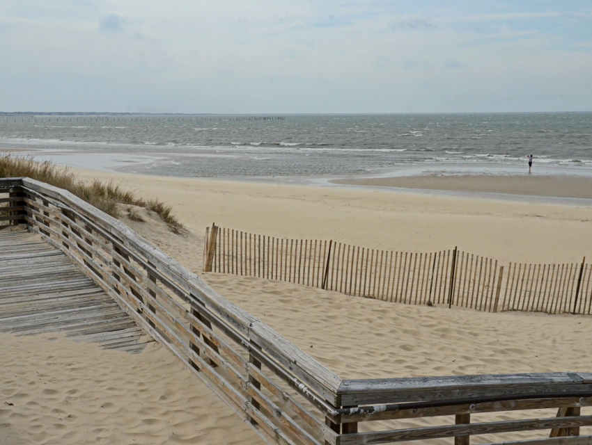 Chesapeake Bay Beach, Virginia Beach | cityseeker