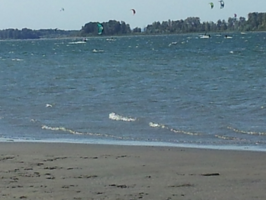 Rooster Rock Beach, Portland, eventseeker