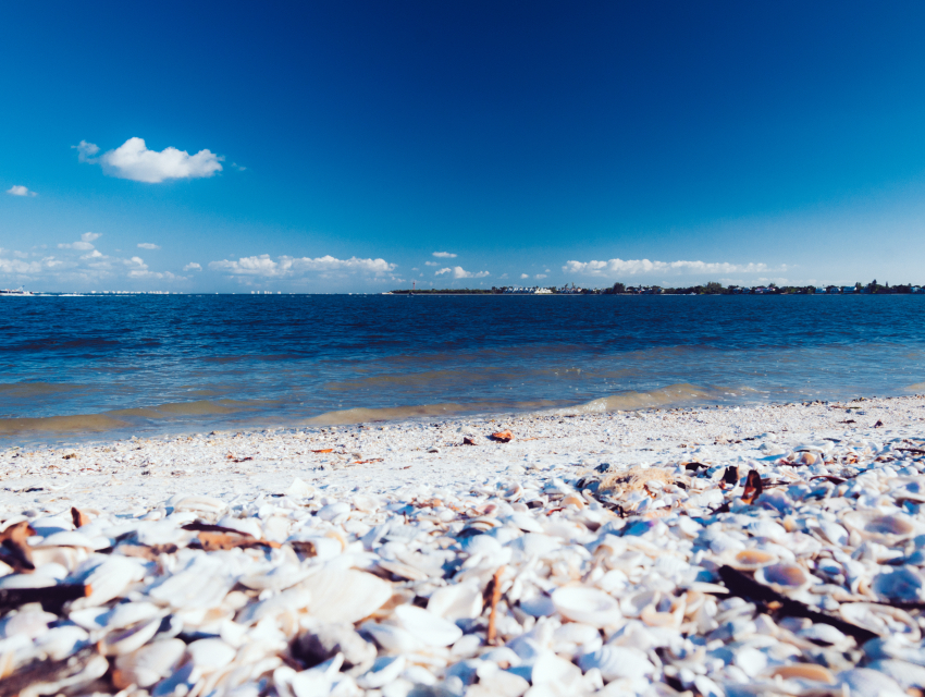 Fort Island Beach, Crystal River, eventseeker