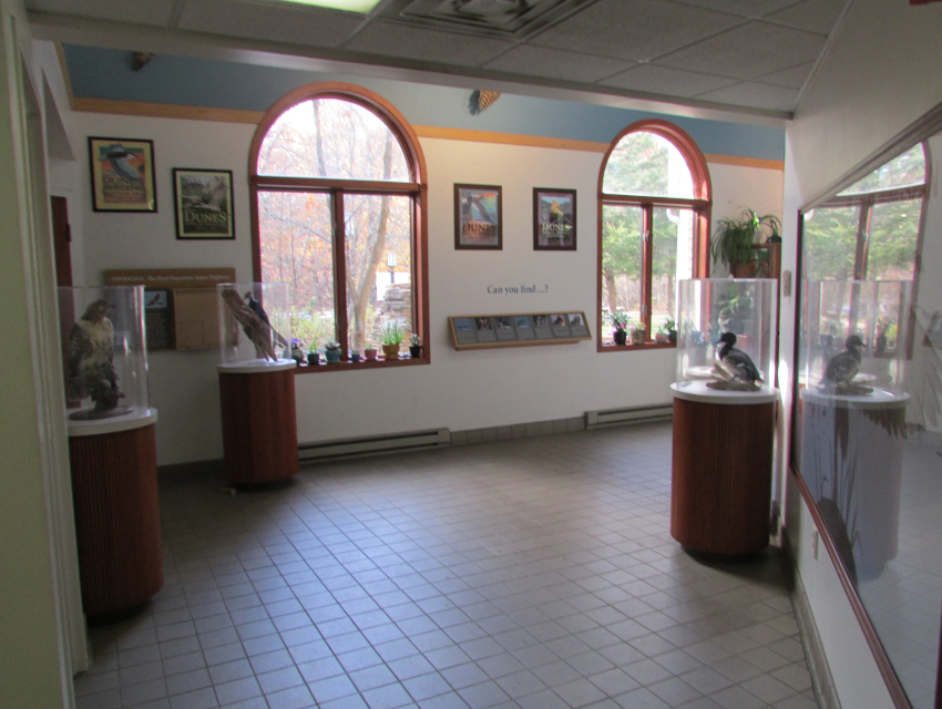 Indiana Dunes State Park Nature Center, Chesterton | cityseeker