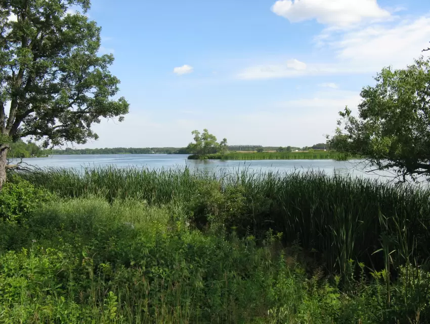 Lake Bronson, Lake Bronson | cityseeker