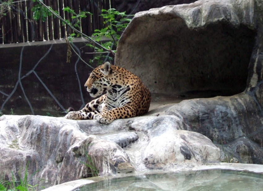 Zoológico de Guayllabamba, Quito | cityseeker