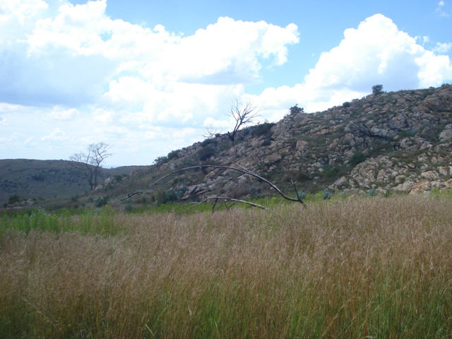 Heia Safari Ranch, Johannesburg | cityseeker