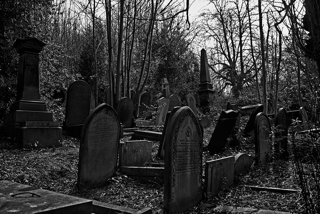 Sheffield General Cemetery, Sheffield | cityseeker