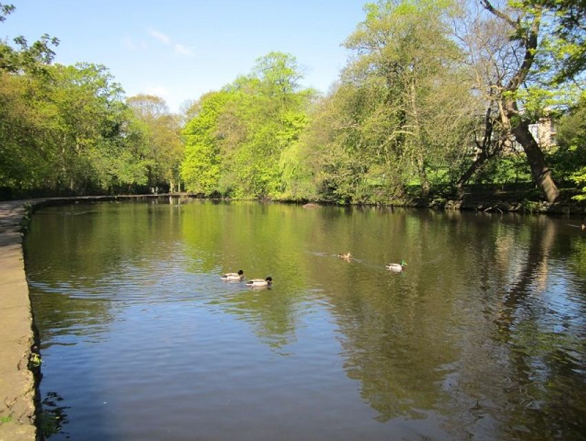 Endcliffe Park, Sheffield, eventseeker