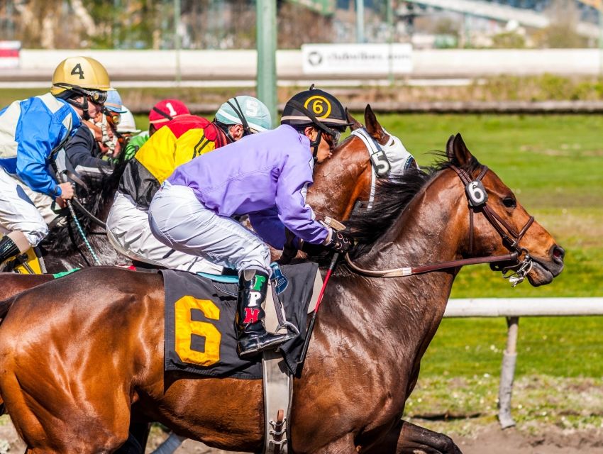 Hastings Racecourse, Vancouver | cityseeker