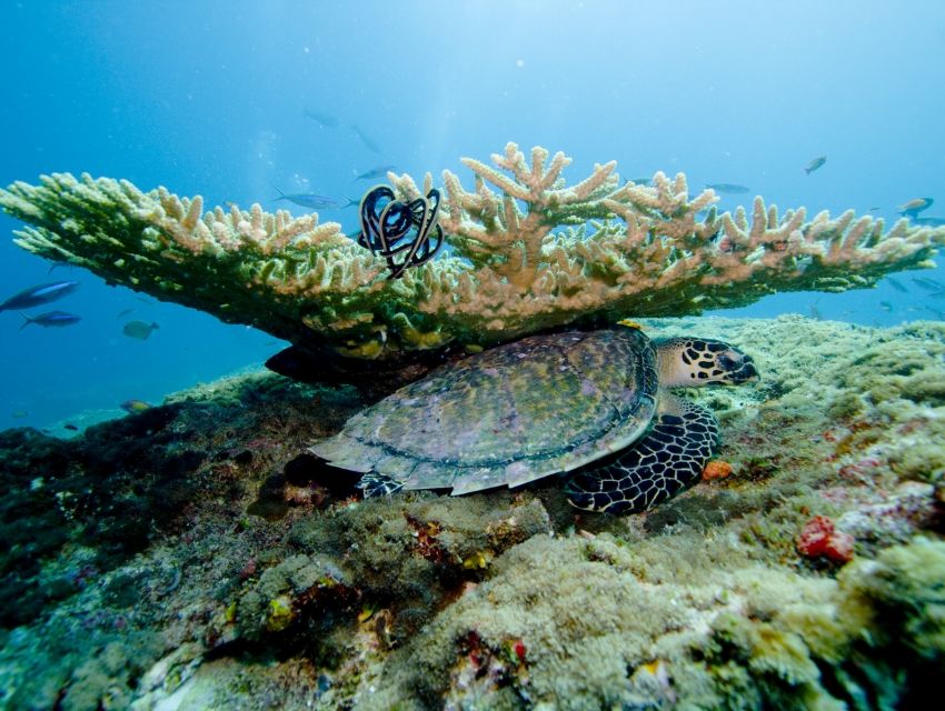 Columbus Landfall National Park, Grand Turk | cityseeker