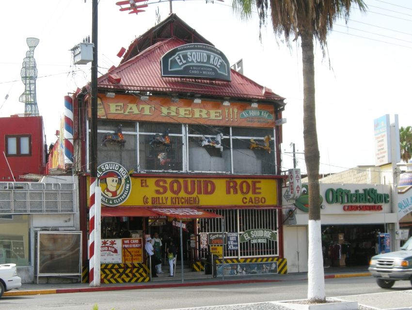 El Squid Roe, Cabo San Lucas | cityseeker