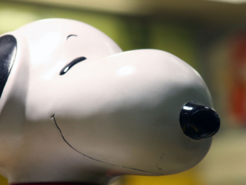 Snoopy Town Shop, Osaka | cityseeker