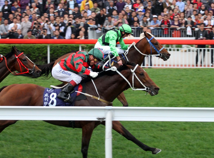 Mahalaxmi Race Course (Royal Western India Turf Club), Mumbai, eventseeker