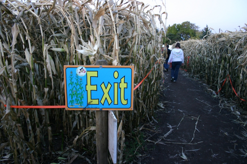 Edmonton Corn Maze, Spruce Grove | cityseeker
