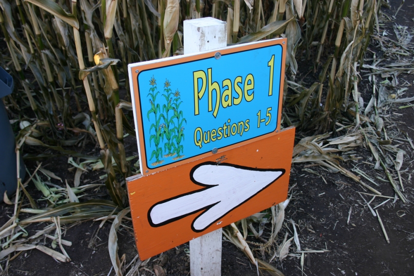 Edmonton Corn Maze, Spruce Grove | cityseeker