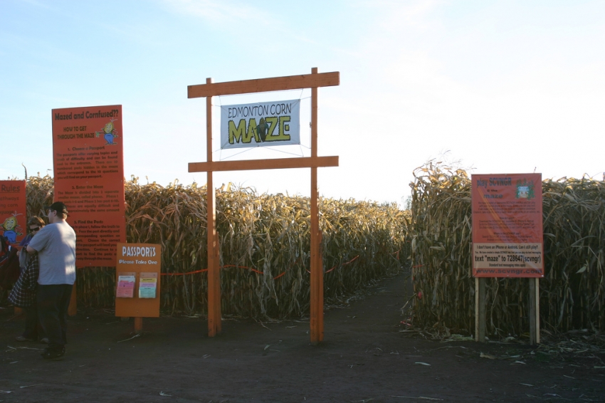 Edmonton Corn Maze, Spruce Grove | cityseeker