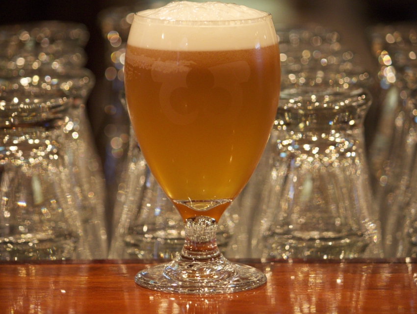 Shooters Saloon, Reno | cityseeker